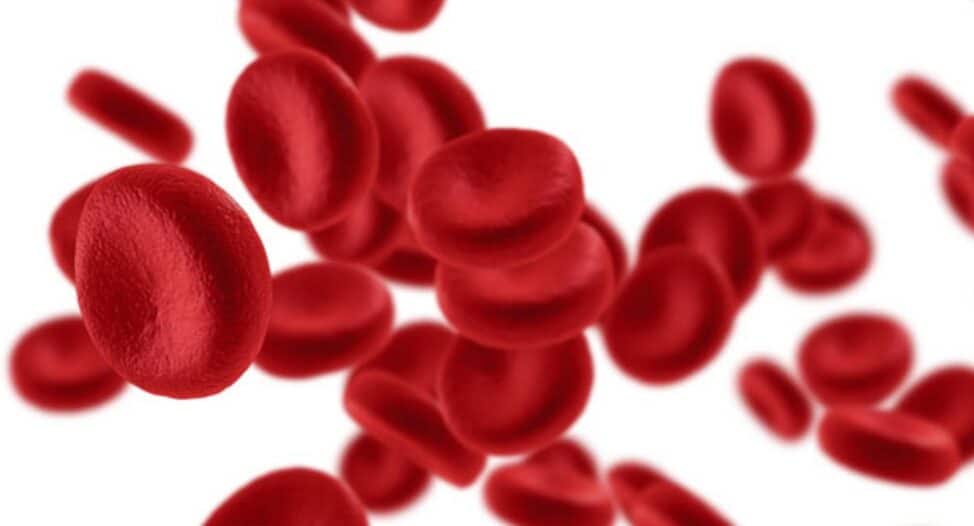 Hematology: Back to Basics - PixCell Medical